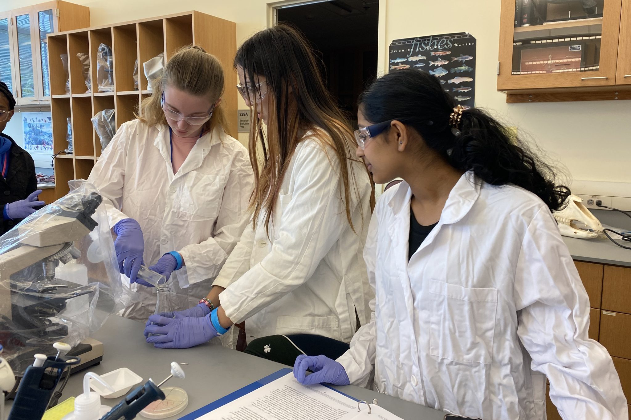 Pre-Med | UNC Asheville